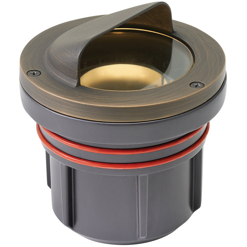 Variable Output LED Shielded Well Light